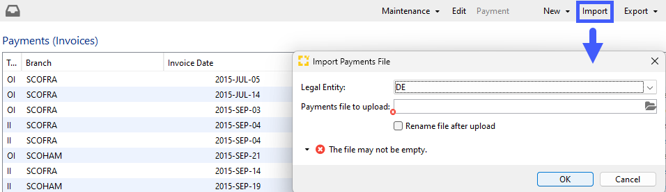 How can I import payments (open balances), and what do I need to know about the import format?